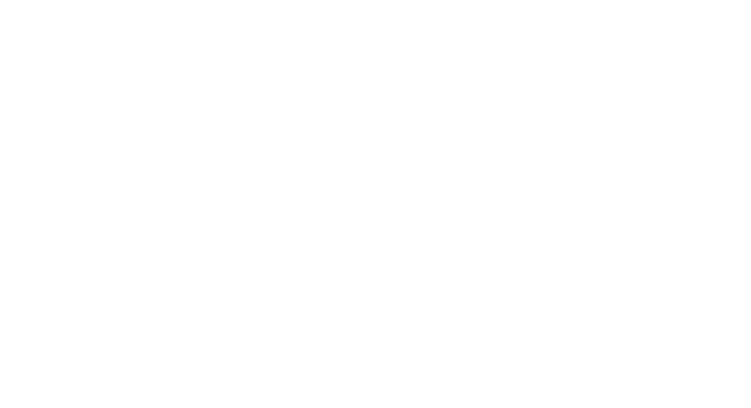 Dynon Avionics Online Store