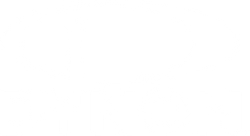 Dynon Avionics Online Store